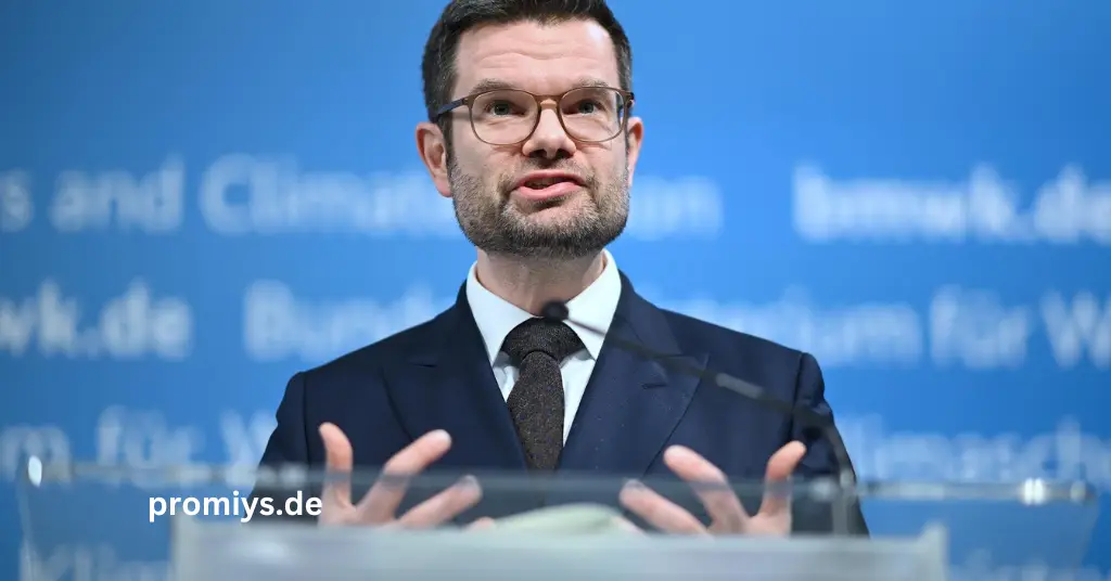 Marco Buschmann Schlaganfall Fakten und Hintergrund